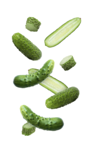 Cornichon – La place des producteurs